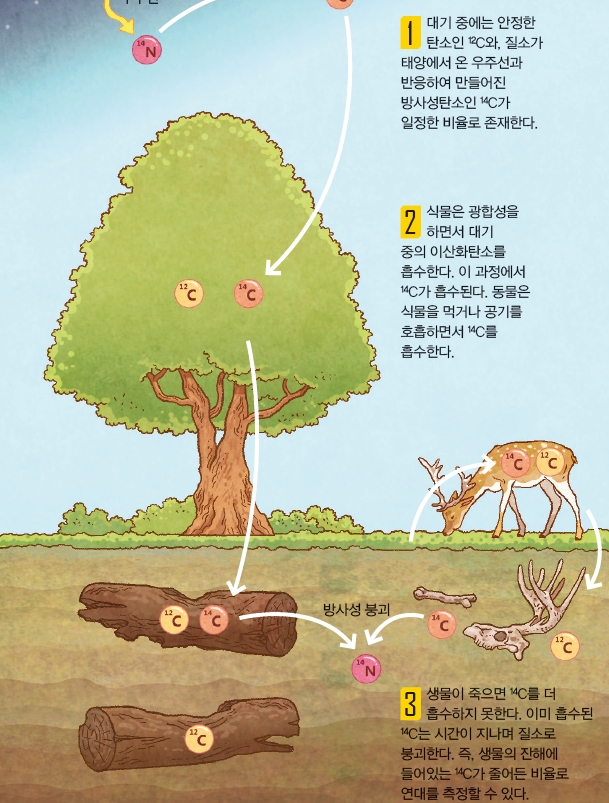 광휘고 충현고 진성고 소하고 2025학년도 수능특강 독서 ‘연륜 연대법 내용정리와 지문분석 네이버 블로그