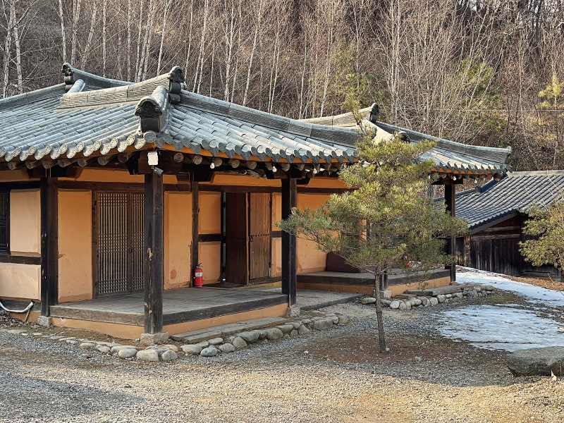 경기도 양평 가족펜션 맑은숲캠프 한옥 독채 무제한 바베큐 패키지 네이버 블로그