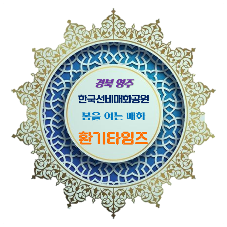 400년 묵은 야생 매화가 있는 곳조선시대 선비들의 취미이자 풍류였던 분매盆梅를 만나다영주 선비세상의 한국선비매화공원