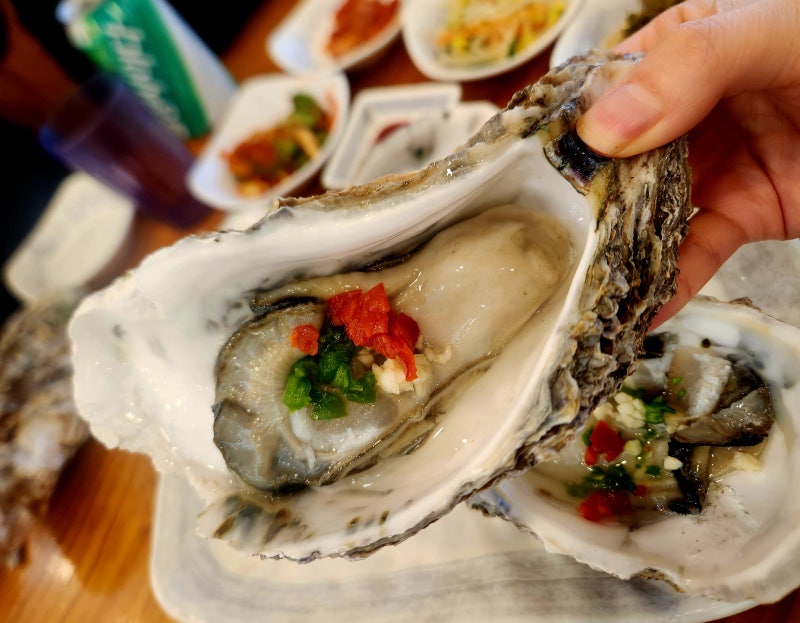 하동 화개장터 맛집 섬진강 벚굴 장터국밥 네이버 블로그