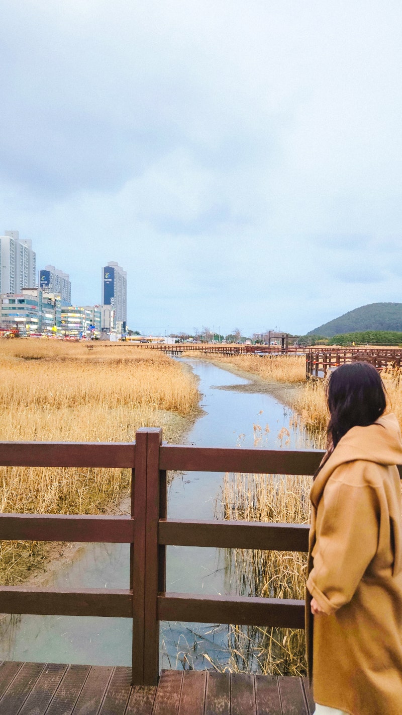 부산여행 다대포 생태탐방로 주차 다대포해수욕장해변공원 네이버 블로그