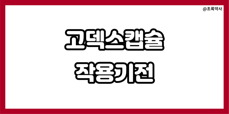 셀트리온 고덱스캡슐 캅셀 부작용 성분 효능 음주 간장약 복용방법 네이버 블로그