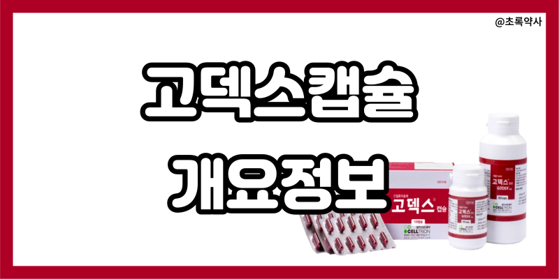 셀트리온 고덱스캡슐 캅셀 부작용 성분 효능 음주 간장약 복용방법 네이버 블로그