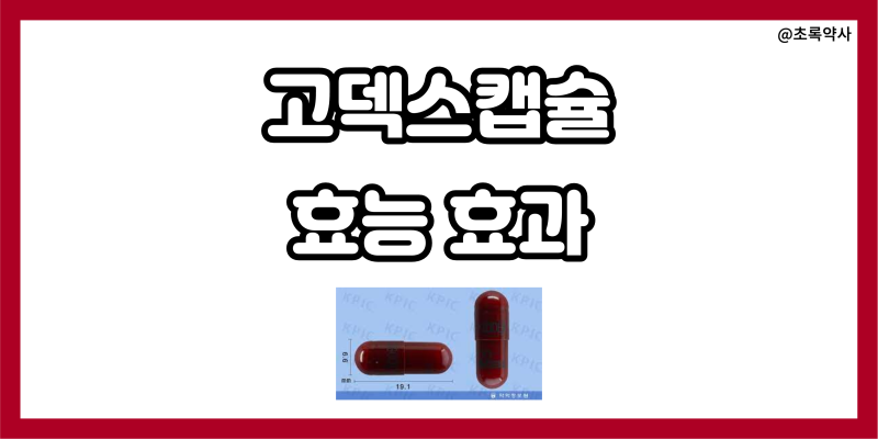 셀트리온 고덱스캡슐 캅셀 부작용 성분 효능 음주 간장약 복용방법 네이버 블로그