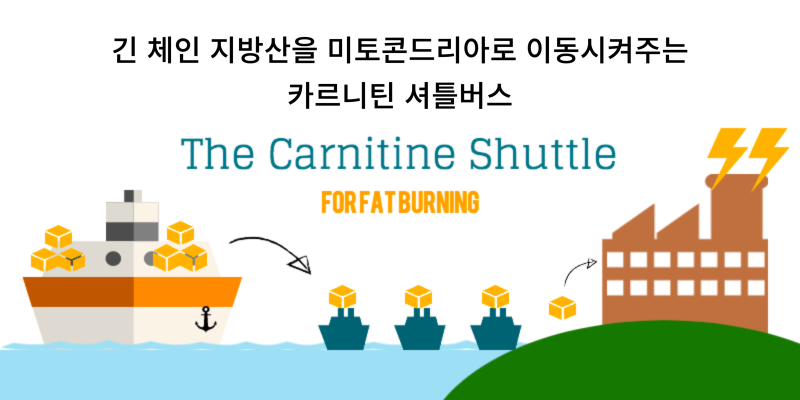 셀트리온 고덱스캡슐 캅셀 부작용 성분 효능 음주 간장약 복용방법 네이버 블로그