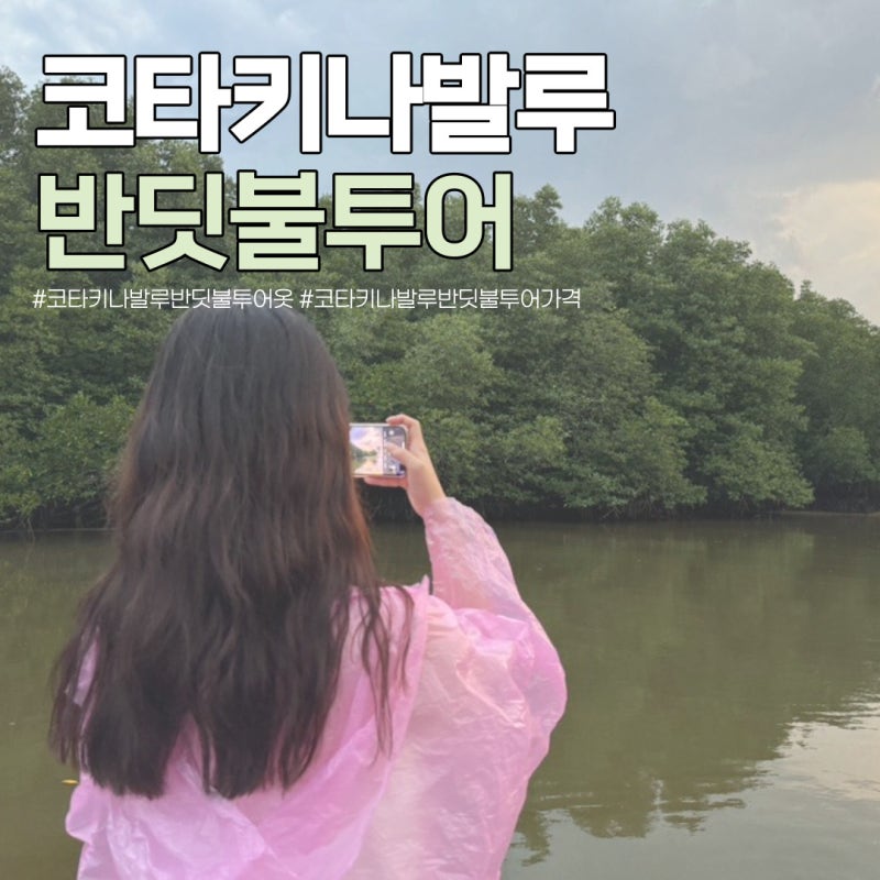 말레이시아 코타키나발루 반딧불투어 맹그로브숲 시간 옷 가격 후기 네이버 블로그
