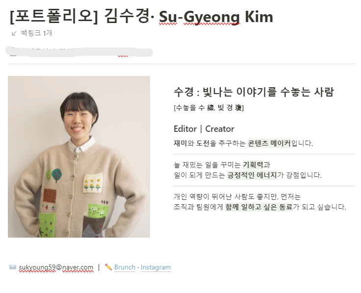 노션 이력서 포트폴리오 템플릿 공유 레퍼런스 네이버 블로그