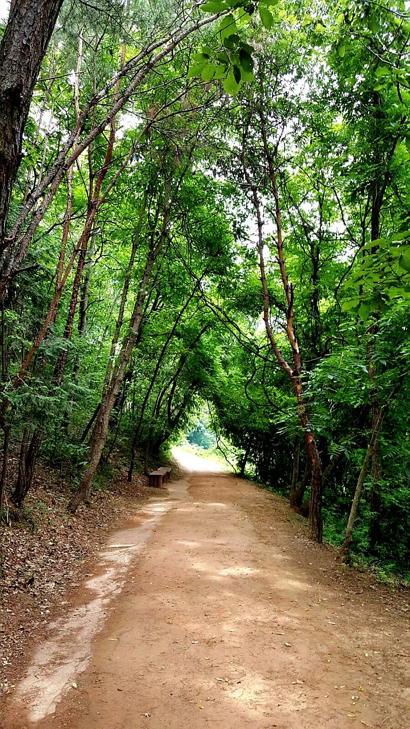 울주 대곡리 반구대 암각화 네이버 블로그