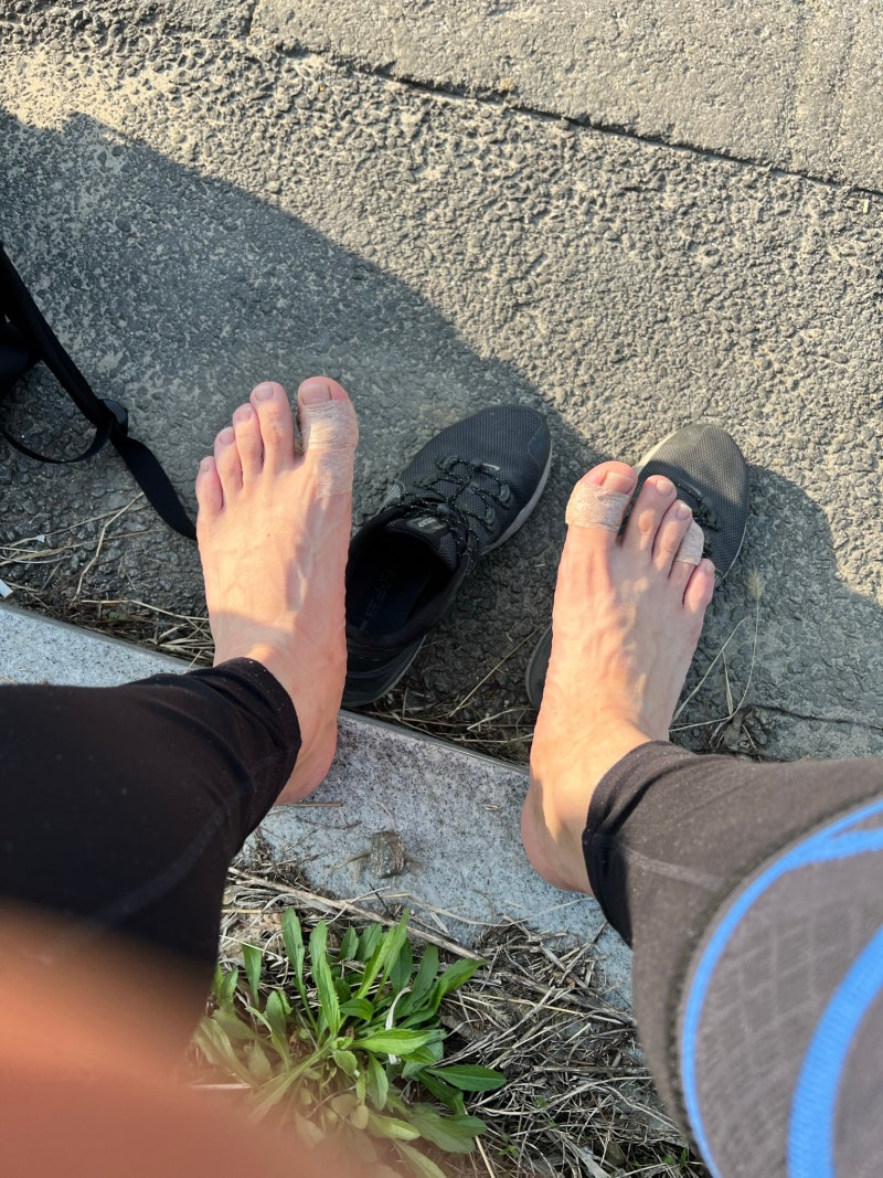 서울부터 강릉까지 국토대장정 코스 총정리 준비물 후기 코스260km 완주 네이버 블로그