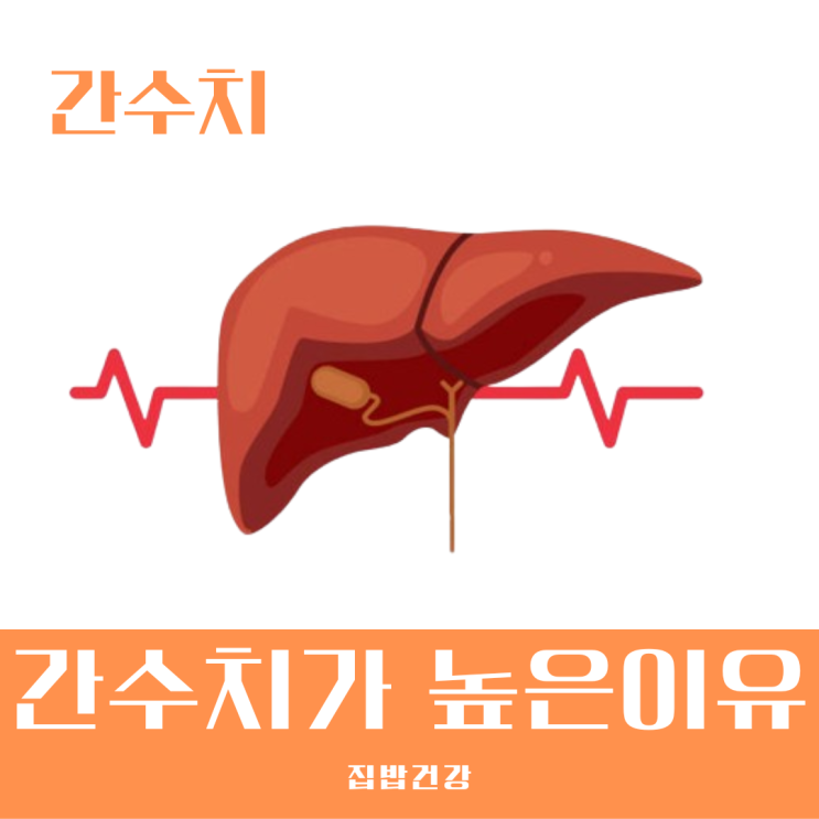 간수치가 높은이유와 증상 간수치 낮추는법