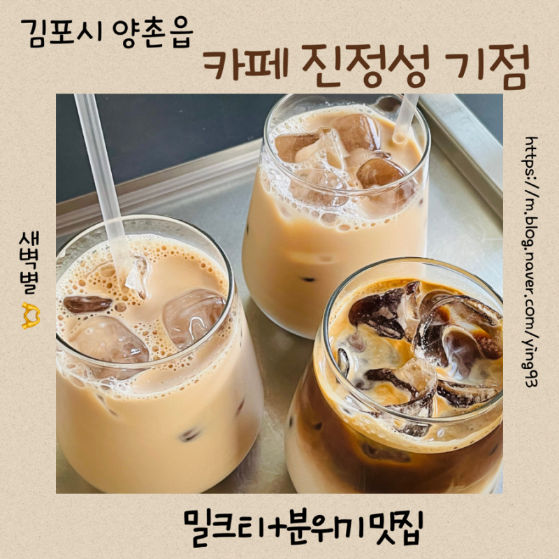 김포카페 진정성 기점 낮도 밤도 좋은 밀크티 맛집 네이버 블로그