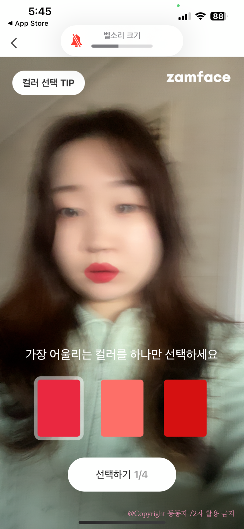 퍼스널컬러 자가 진단 테스트 무료 사이트 앱 잼페이스 쿨톤웜톤테스트 네이버 블로그