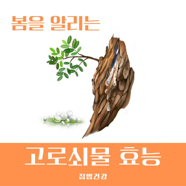 뉴베인 효과 및 가격과 복용법 그리고 부작용 알아보기