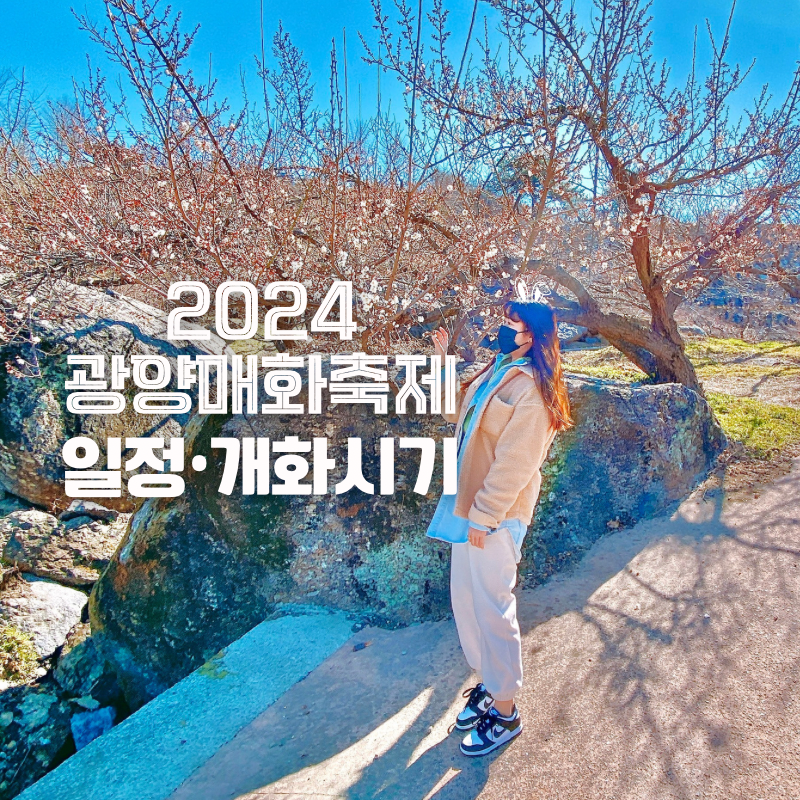 2024 광양매화축제 기간 개화시기 매화마을 광양여행 가볼만한곳 봄꽃축제 네이버 블로그