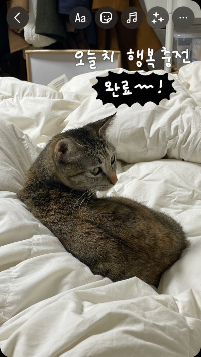 인스타 스토리 포인트 스티커 모음! (feat. 17V28 추천) : 네이버 블로그