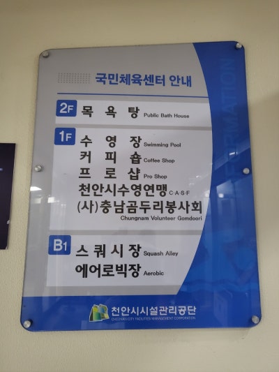 후기 천안종합운동장 수영장 강습수영 수강신청 꿀팁 수강신청 성공 후기 천안한들문화센터 천안북부스포츠센터
