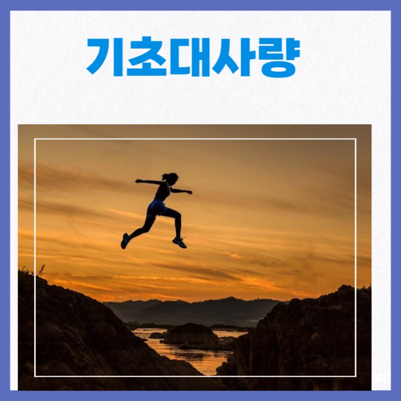 기초대사량 높이는 방법 성인 여자 남자 평균 계산 네이버 블로그