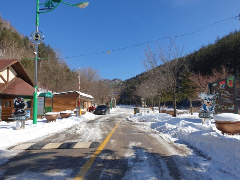 태백 고원자연휴양림 숲속의 집 이용후기 네이버 블로그