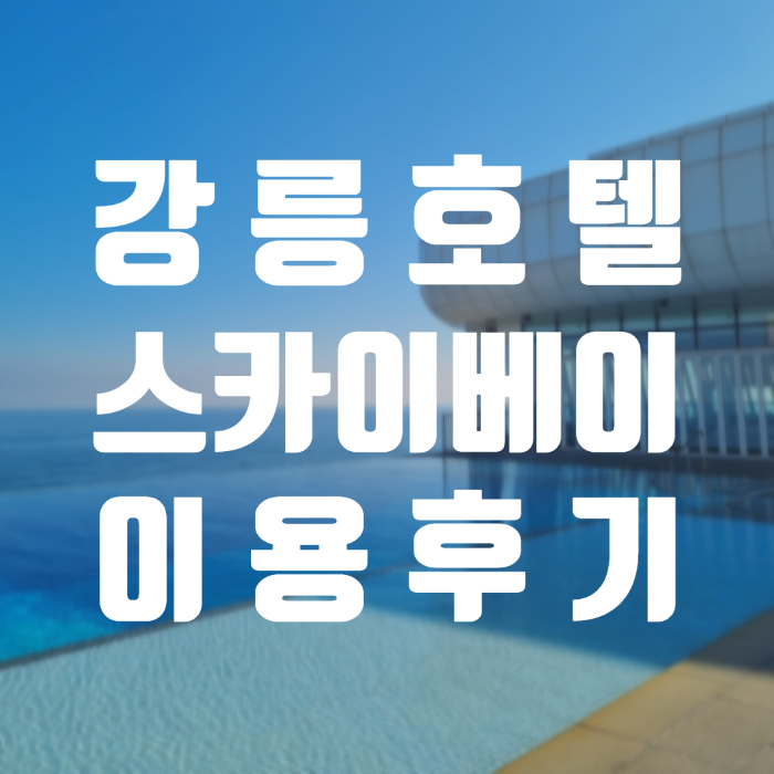 강릉 스카이베이 호텔 경포 디럭스 더블룸 이용 후기 조식 뷔페 인피니티 풀 피트니스센터 네이버 블로그