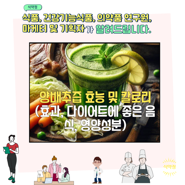양배추즙 효능 및 칼로리 효과 다이어트에 좋은 음식 영양성분