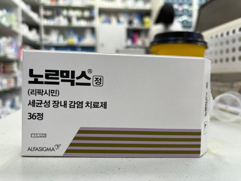 노르믹스정 리팍시민 항생제 효능 복용법 술 장염 내성 네이버 블로그
