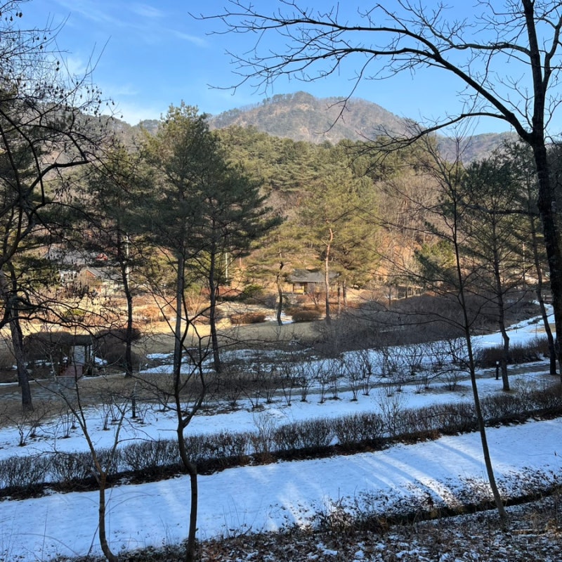 홍천 가볼만한 곳 수타사 산소길 공작산 생태숲 산책하기 좋은 명소 네이버 블로그