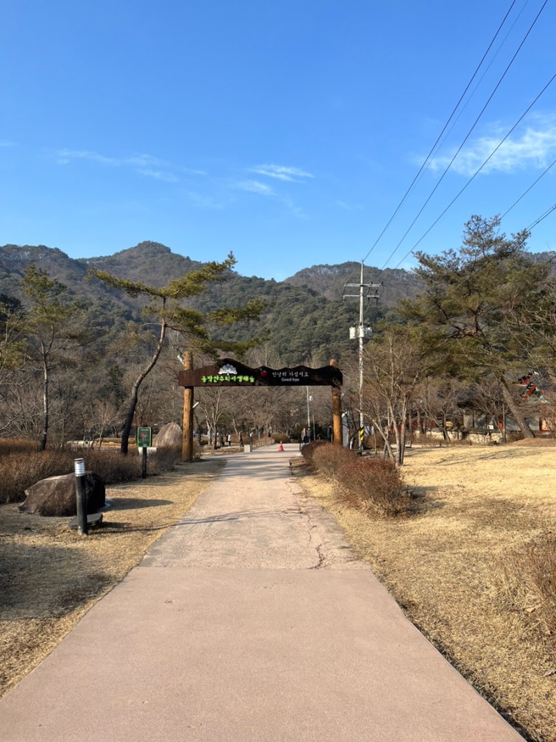 홍천 가볼만한 곳 수타사 산소길 공작산 생태숲 산책하기 좋은 명소 네이버 블로그