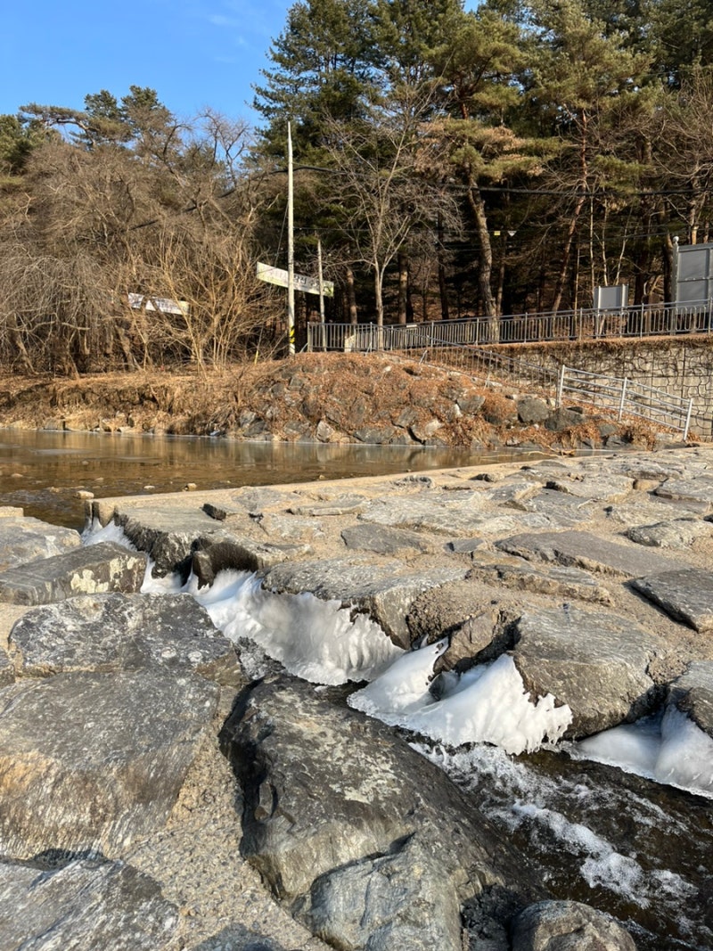홍천 가볼만한 곳 수타사 산소길 공작산 생태숲 산책하기 좋은 명소 네이버 블로그