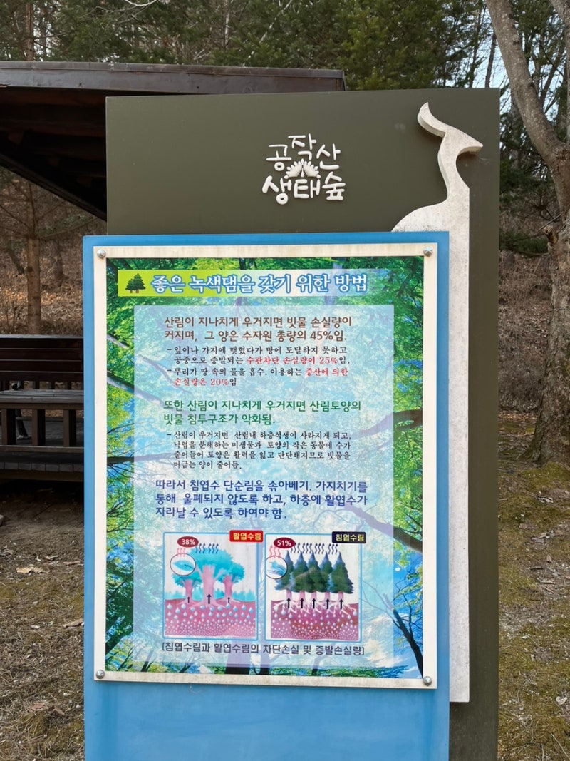 홍천 가볼만한 곳 수타사 산소길 공작산 생태숲 산책하기 좋은 명소 네이버 블로그