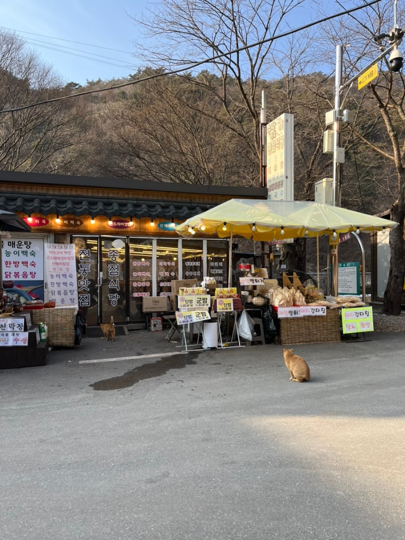 홍천 가볼만한 곳 수타사 산소길 공작산 생태숲 산책하기 좋은 명소 네이버 블로그