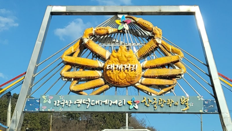 강구항맛집 영덕대게 코스요리 구성과 양 모두 대박집 눈앞에서 손질까지 착한대게 냠냠후기 네이버 블로그