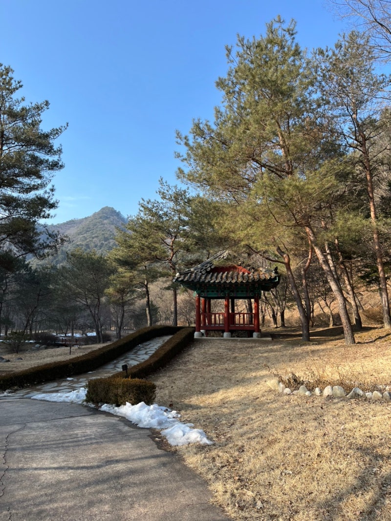홍천 가볼만한 곳 수타사 산소길 공작산 생태숲 산책하기 좋은 명소 네이버 블로그