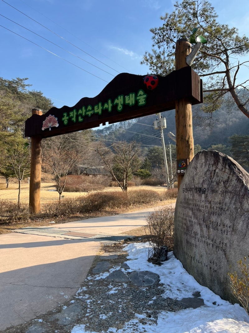 홍천 가볼만한 곳 수타사 산소길 공작산 생태숲 산책하기 좋은 명소 네이버 블로그