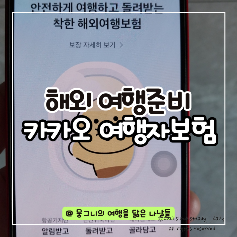 카카오페이 여행자보험 내돈내산 후기 기본형 고급형 비교 네이버 블로그