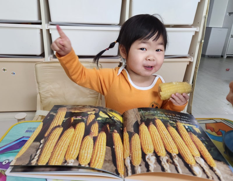 3세 자연관찰전집 오감자극 생태이야기 블루래빗생생자연관찰후기 네이버 블로그