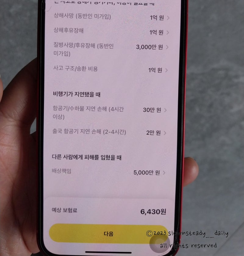 카카오페이 여행자보험 내돈내산 후기 기본형 고급형 비교 네이버 블로그