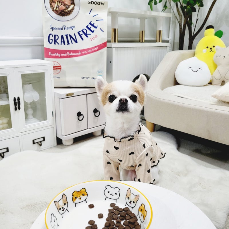 강아지 그레인프리 사료 알러지 개선을 위해 선택한 닥터독 네이버 블로그