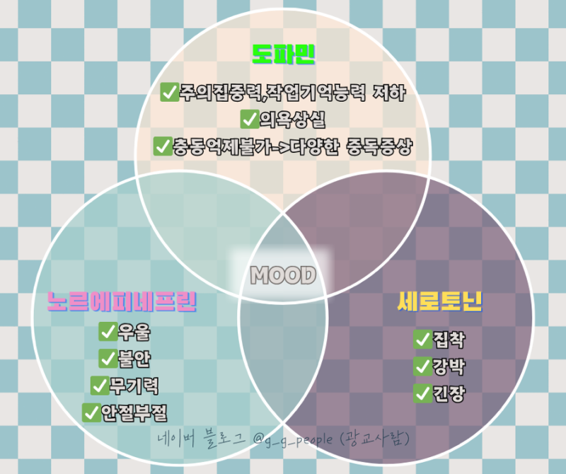 나를 조종하는 신경전달물질 도파민 노르에피네프린 세로토닌 네이버 블로그
