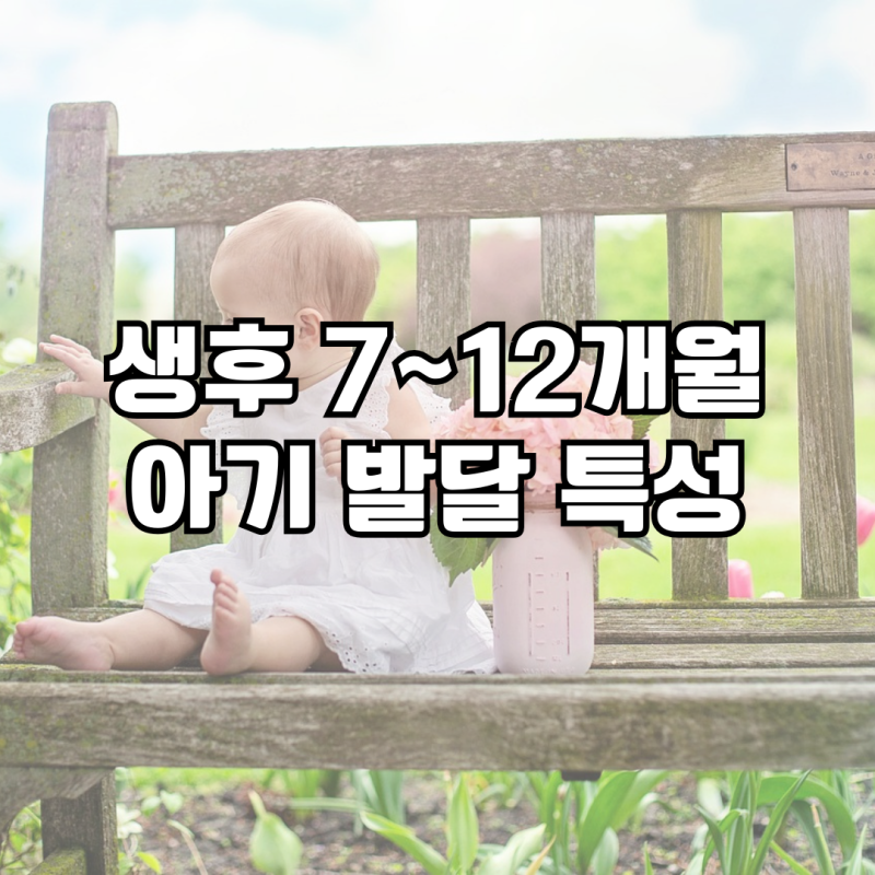 만0세 ~ 만1세 생후1개월~24개월 아기발달 특성 정보 인지 언어 정서 신체 사회성 아기성장발달 네이버 블로그