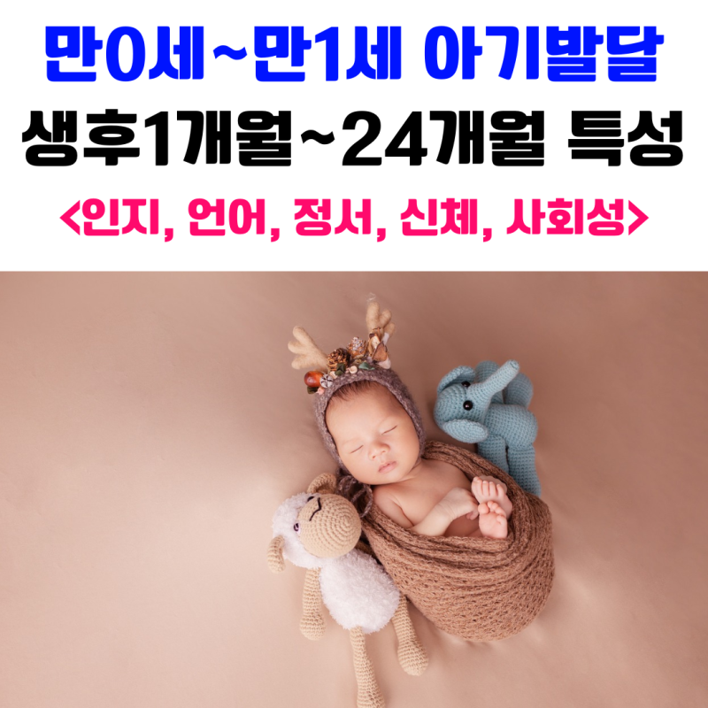 만0세 ~ 만1세 생후1개월~24개월 아기발달 특성 정보 인지 언어 정서 신체 사회성 아기성장발달 네이버 블로그
