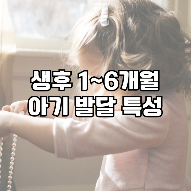 만0세 ~ 만1세 생후1개월~24개월 아기발달 특성 정보 인지 언어 정서 신체 사회성 아기성장발달 네이버 블로그