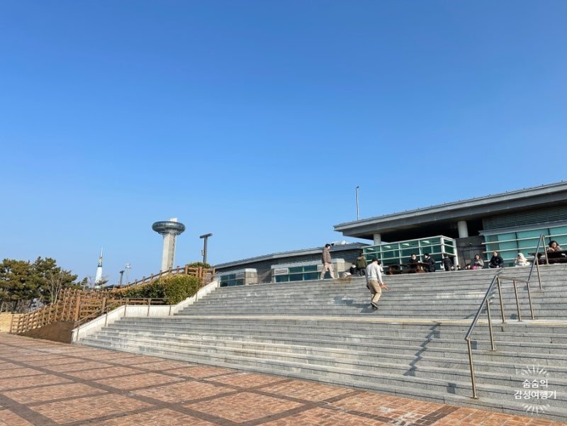 시화나래휴게소 달전망대 먹거리 메뉴 주차장 시화호 해안정원 안산 대부도 갈만한곳 네이버 블로그