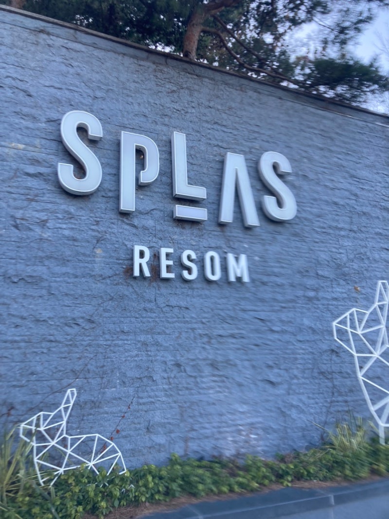 덕산 스플라스 리솜 스파캐슬 온천 워터파크 주말 방문 후기 주차 할인 준비물 네이버 블로그