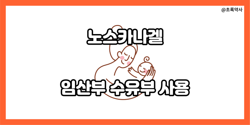 노스카나겔 효과 사용법 가격 점빼고 여드름 흉터 후기 부작용 임산부 네이버 블로그