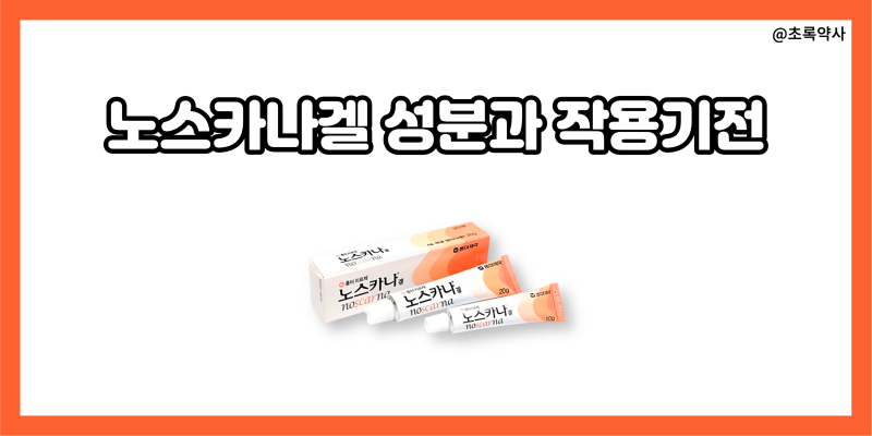 노스카나겔 효과 사용법 가격 점빼고 여드름 흉터 후기 부작용 임산부 네이버 블로그