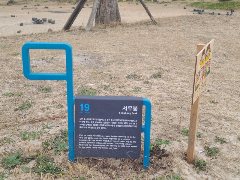 제주 함덕 가볼만한 곳 서우봉 둘레길 해변 유채꽃 명소 네이버 블로그