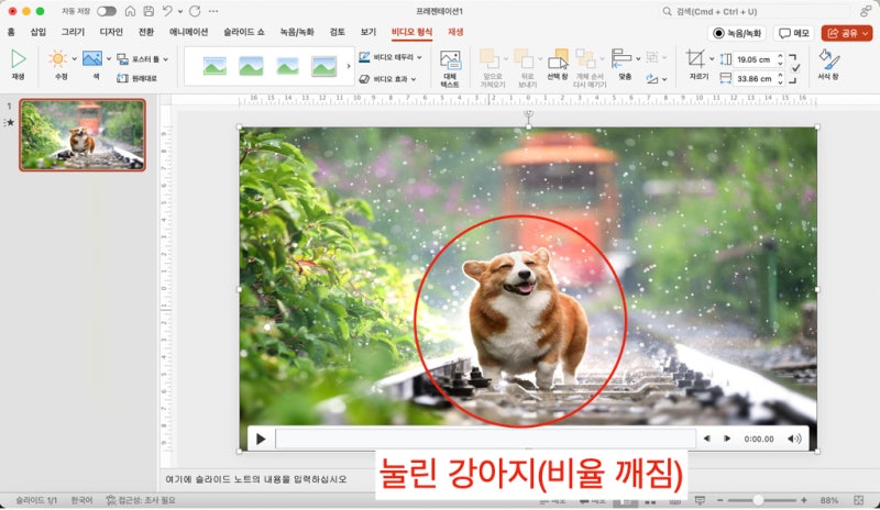 맥북 파워포인트 Ppt에 동영상을 추가하는 방법과 동영상 추가 시 알아야 할 사항 네이버 블로그