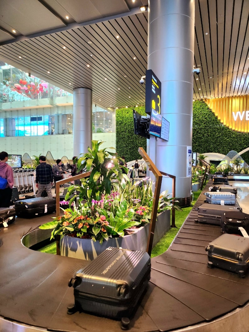 다낭행 베트남항공 Vn431편 솔직 후기 다낭 공항 입국 심사 과정 소요 시간 네이버 블로그