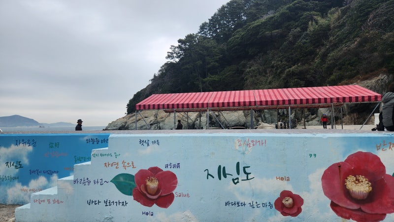 경남 거제 지심도 동백꽃 개화시기개화상태 만개시기 동백섬 지심도 배편 경남 3월 여행지 추천 네이버 블로그