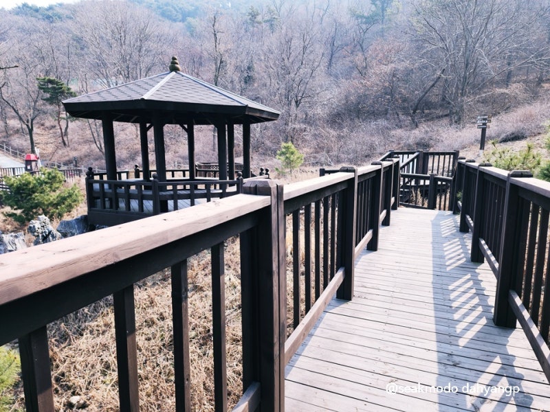 강화도 석모도 가볼만한곳 여행 코스 수목원 자연휴양림 해암식당 보문사 민머루해수욕장 장구너머항 네이버 블로그